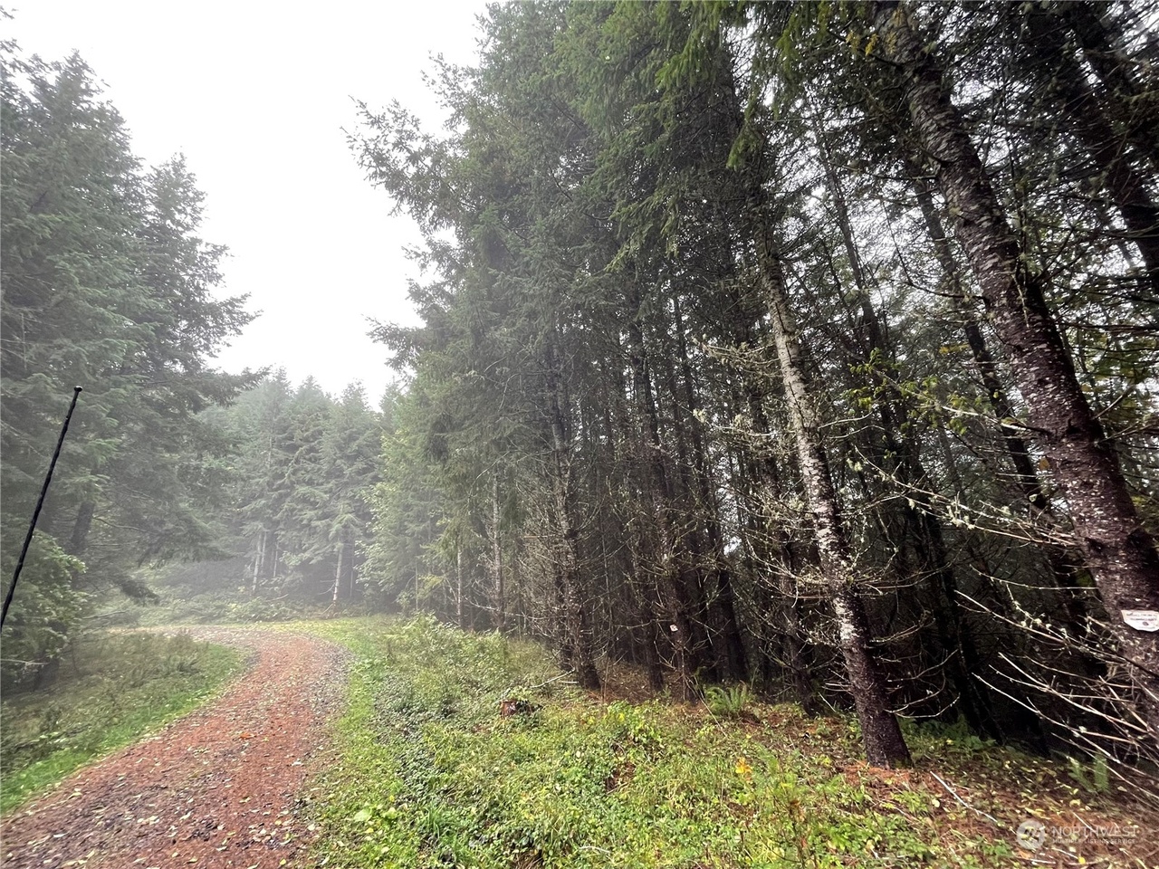 0 State Route 6, Pe Ell, WA 98572 | MLS# 2184669 | Redfin 0 State Route 6, Pe Ell, WA 98572 | MLS# 2184669 | Redfin
