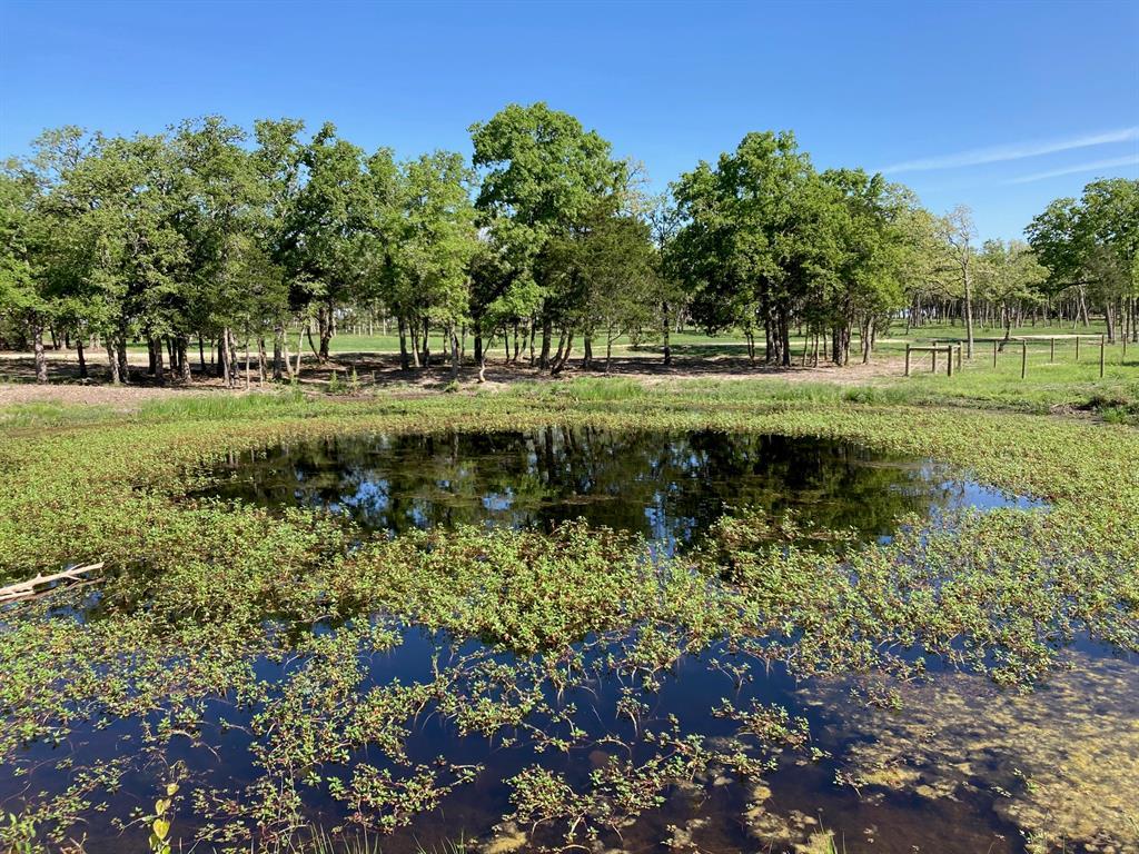 6950 Waldeck Cemetery Rd, Round Top, TX 78954 | Redfin 6950 Waldeck Cemetery Rd, Round Top, TX 78954 | Redfin