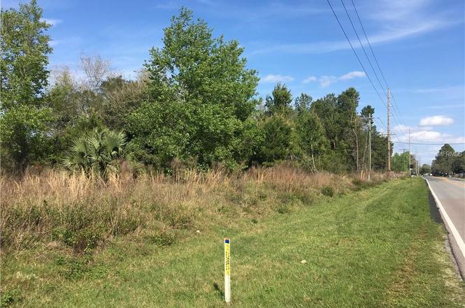 Britt Rd, MOUNT DORA, FL 32757 | MLS# O5767413 | Redfin Britt Rd, MOUNT DORA, FL 32757 | MLS# O5767413 | Redfin