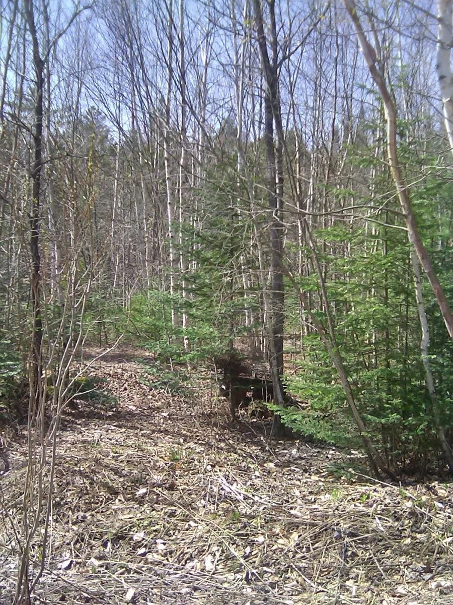 000 Reen Rd Hyde Park Vt 05655 Mls 4949625 Redfin