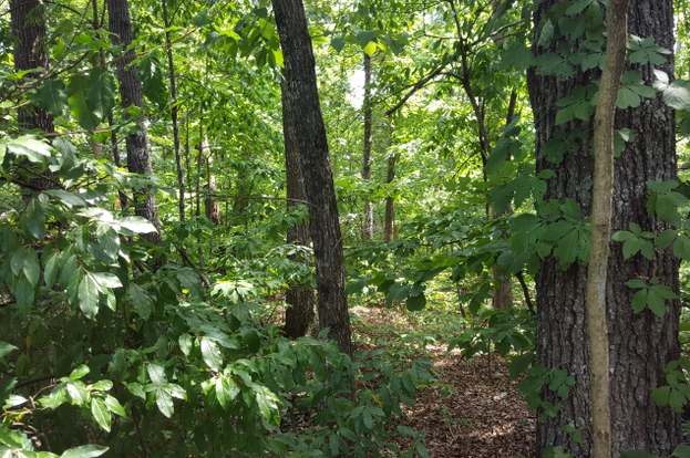 135 Vinita Ln, Loudon, TN 37774 | MLS# 969166 | Redfin 135 Vinita Ln, Loudon, TN 37774 | MLS# 969166 | Redfin