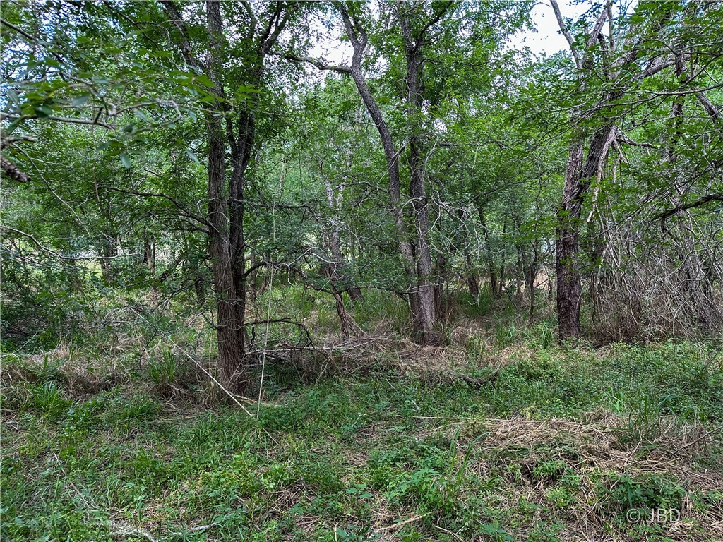 0000 Sandy Hollow Dr N Robstown Tx 78380 Mls 430621 Redfin
