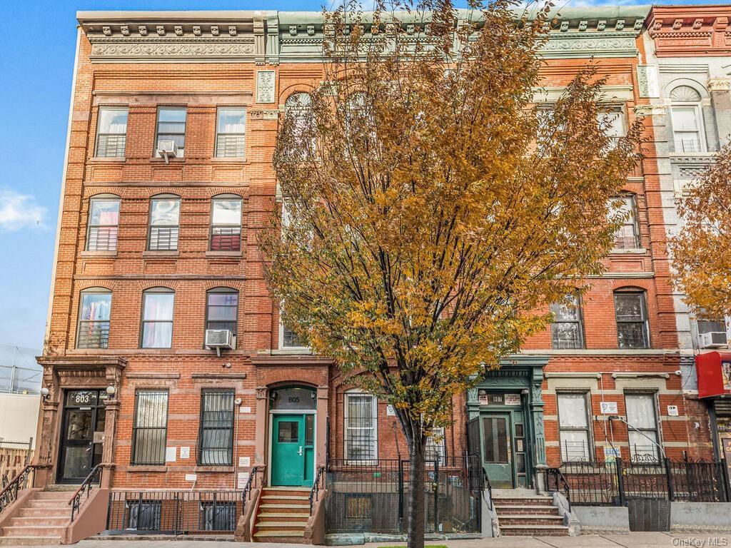 805 E 156th St, BRONX, NY 10455 | MLS# H6155390 | Redfin 805 E 156th St, BRONX, NY 10455 | MLS# H6155390 | Redfin