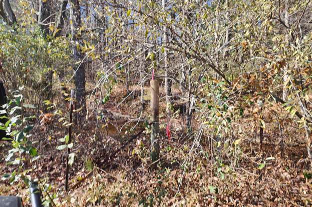 Tbd Bassett Rd Elizabethtown Il 62931 Mls Eb451293 Redfin