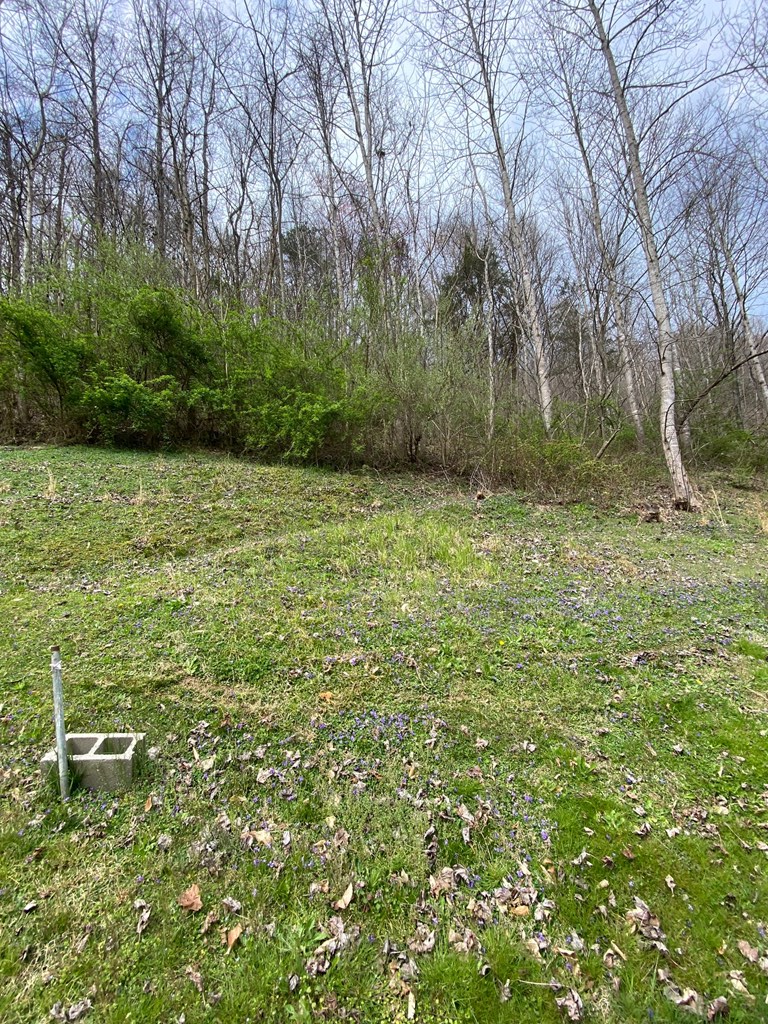 00 Hamilton Ln, Pikeville, KY 41501 | MLS# 121929 | Redfin 00 Hamilton Ln, Pikeville, KY 41501 | MLS# 121929 | Redfin