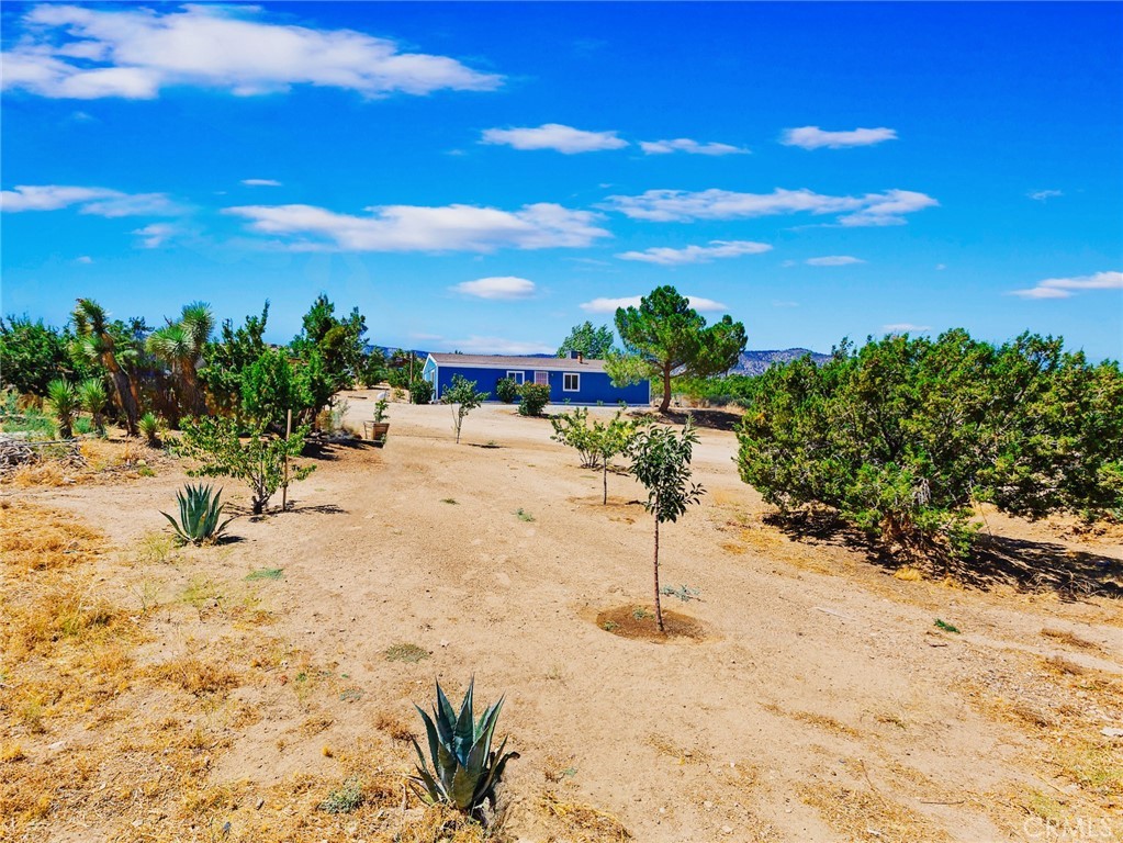 3477 Highway 138, Pinon Hills, CA 92372 | Redfin 3477 Highway 138, Pinon Hills, CA 92372 | Redfin