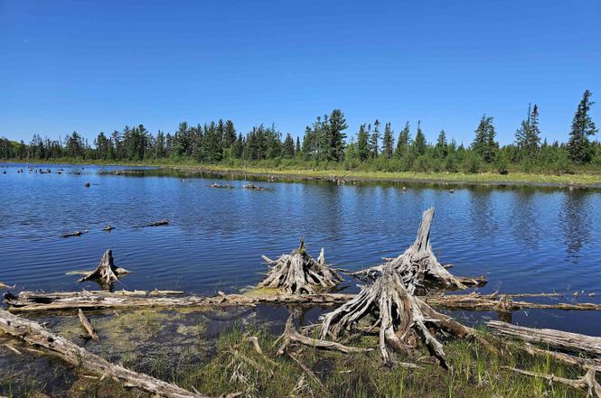 tbd Off of M94 Hwy, Gwinn, MI 49841 | MLS# 50144328 | Redfin tbd Off of M94 Hwy, Gwinn, MI 49841 | MLS# 50144328 | Redfin