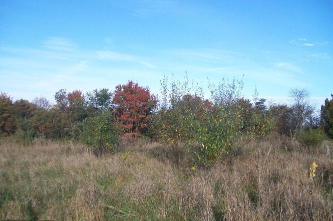 Community Way Romney Wv 26757 Mls Hs10062060 Redfin