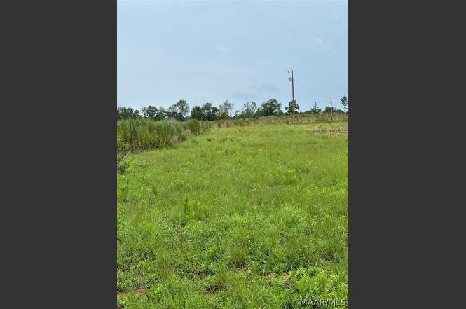 Lot 17 County Road 613, New Brockton, AL 36351 | MLS# 550568 | Redfin Lot 17 County Road 613, New Brockton, AL 36351 | MLS# 550568 | Redfin
