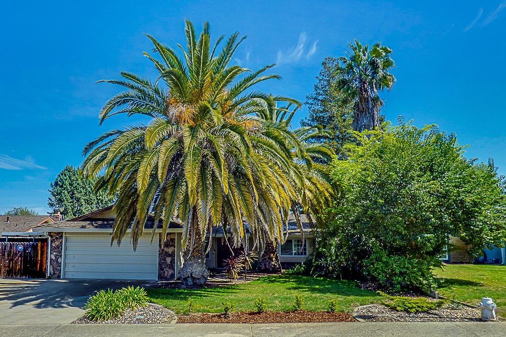 5708 Saint Claire Way, Citrus Heights, CA 95621 | Redfin 5708 Saint Claire Way, Citrus Heights, CA 95621 | Redfin