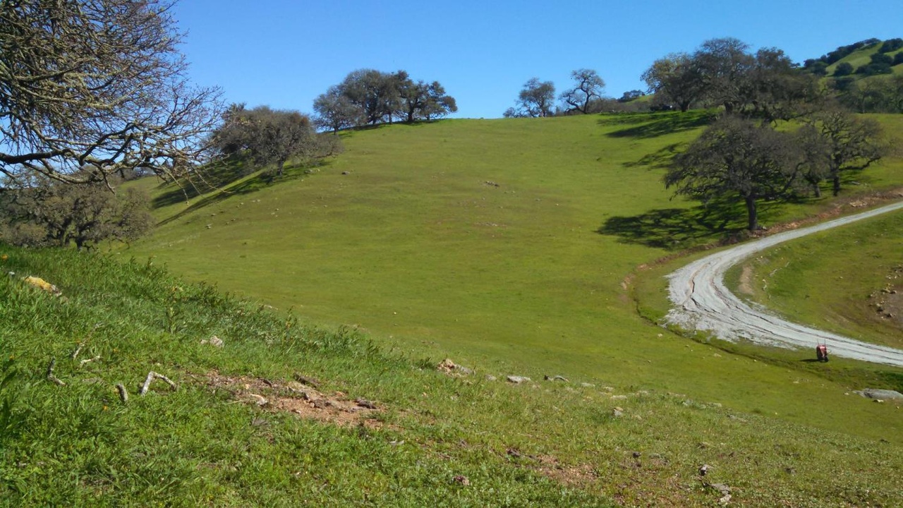 22400 Pacheco Pass Hwy, GILROY, CA 95020 | MLS# ML81634811 | Redfin 22400 Pacheco Pass Hwy, GILROY, CA 95020 | MLS# ML81634811 | Redfin