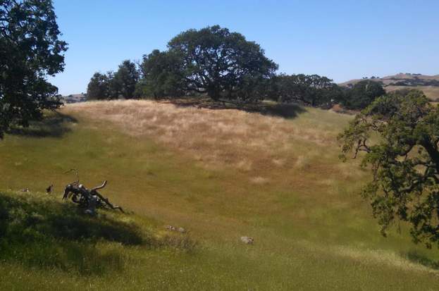 22400 Pacheco Pass Hwy, GILROY, CA 95020 | MLS# ML81634811 | Redfin 22400 Pacheco Pass Hwy, GILROY, CA 95020 | MLS# ML81634811 | Redfin