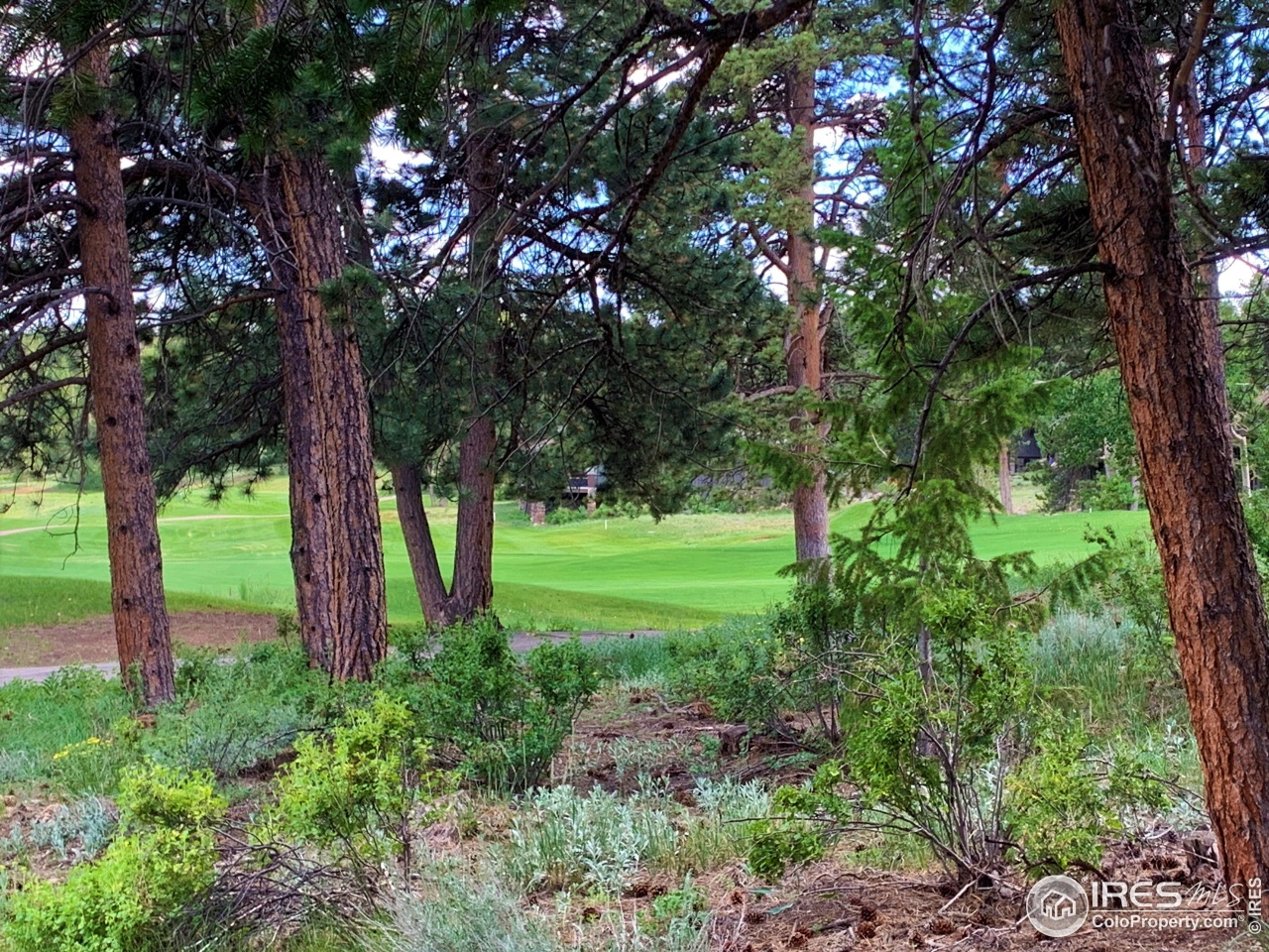 520 Fox Acres Dr W Red Feather Lakes Co 80545 Mls 943820 Redfin